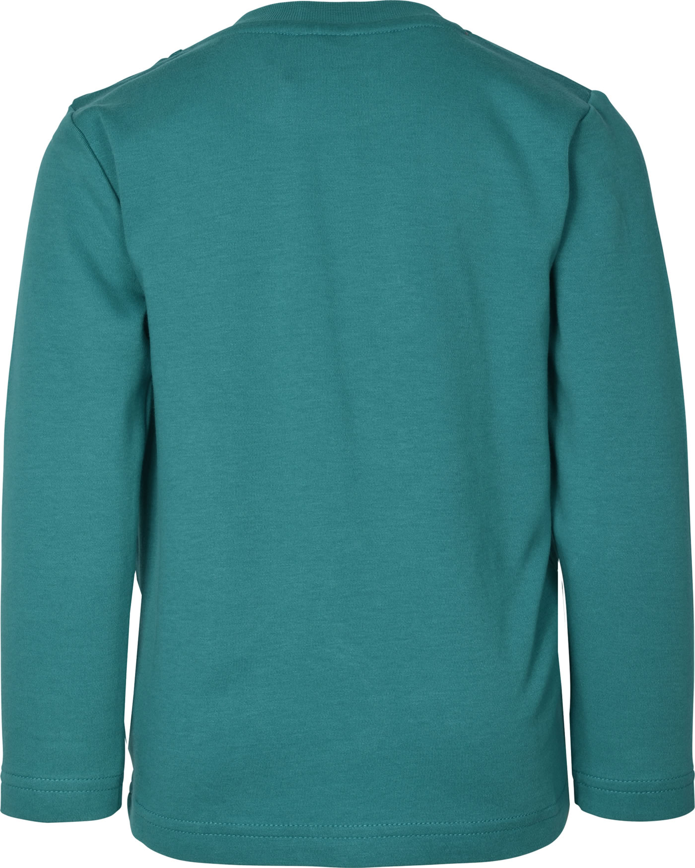 Frugi T-Shirt Langarm ADVENTURE APPLIQUE TOP deep spruce moose kaufen ...