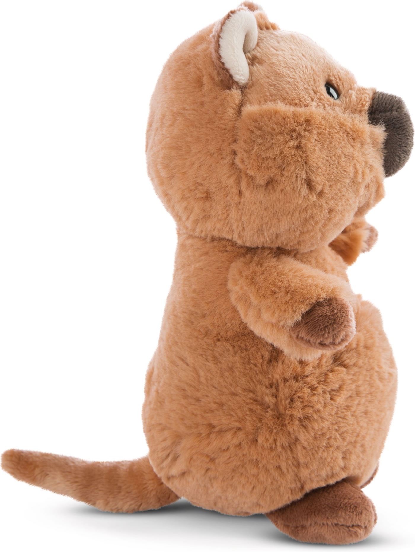 Nici Quokka-Mola 22 cm Plüsch stehend NICI GREEN Wild Friends 47214 ...